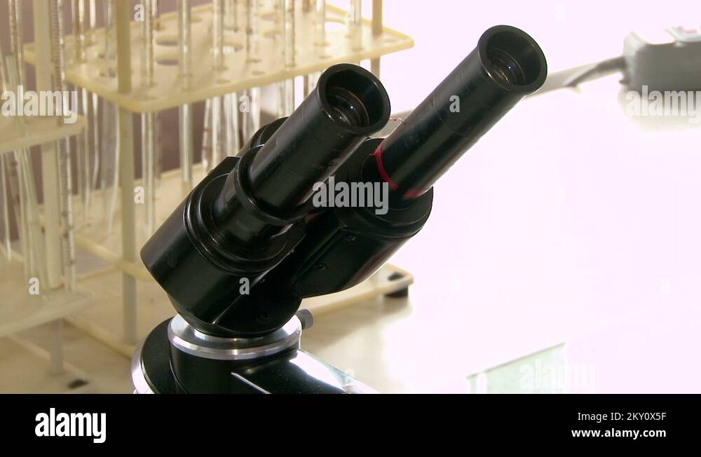 scientist in the laboratory looks in a microscope Stock Video Footage ...