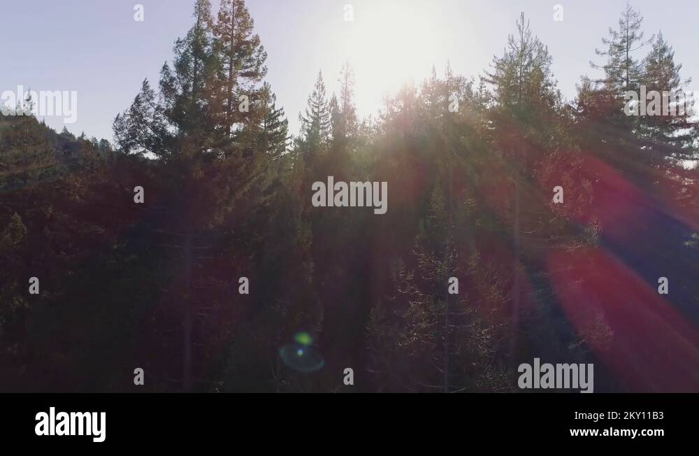 Lens flare looking in sun Stock Videos & Footage - HD and 4K Video ...