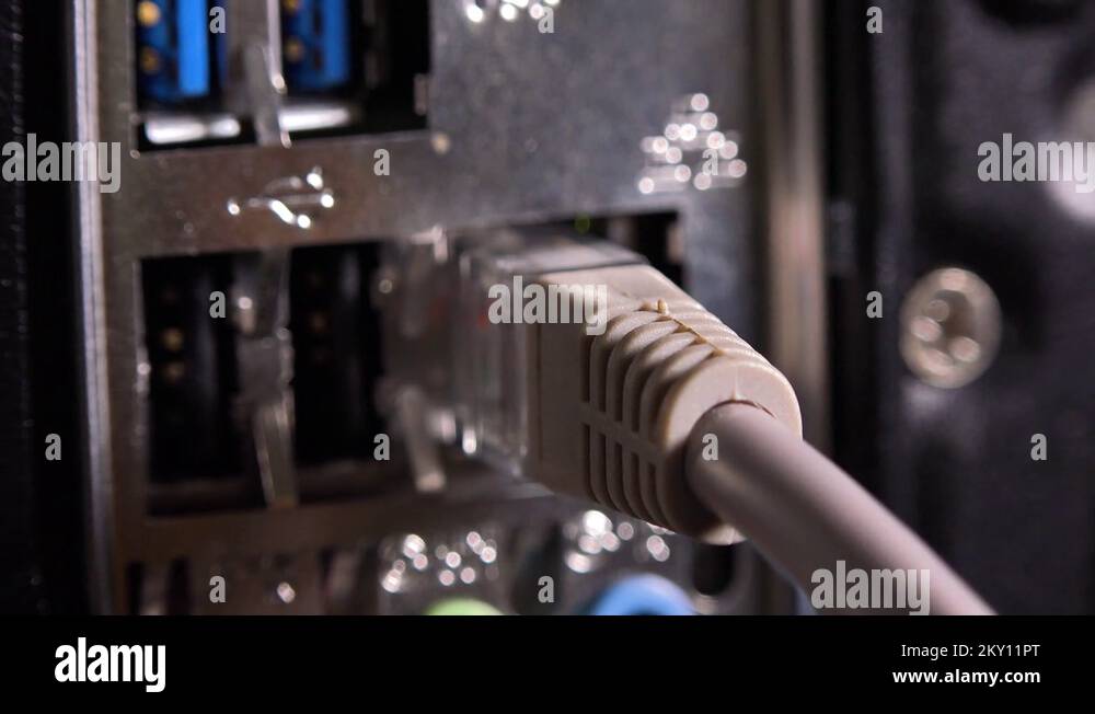 Closeup on a screen cable in a port on the rear of a desktop computer ...