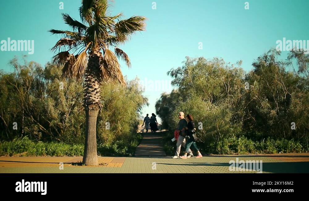 Walking nature Stock Videos & Footage - HD and 4K Video Clips - Alamy