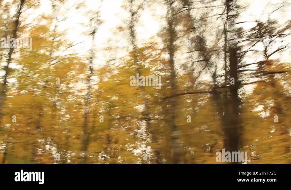 Fall foliage in a park Stock Videos & Footage - HD and 4K Video Clips ...