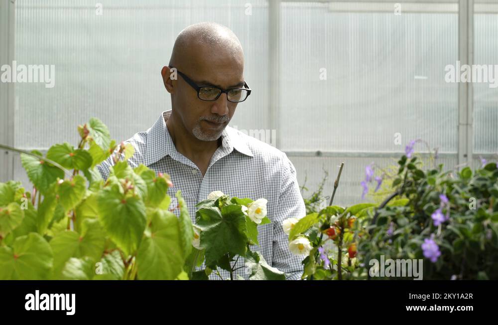 Man nurturing Stock Videos & Footage - HD and 4K Video Clips - Alamy