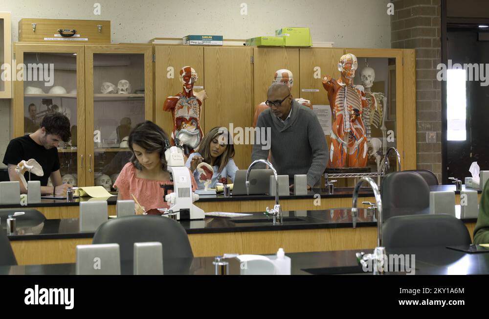 Biology tutor Stock Videos & Footage - HD and 4K Video Clips - Alamy