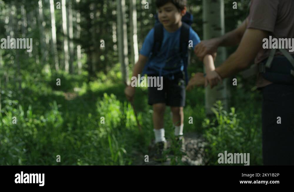 Father helps young boy onto a log, boy carefully balances across Stock ...