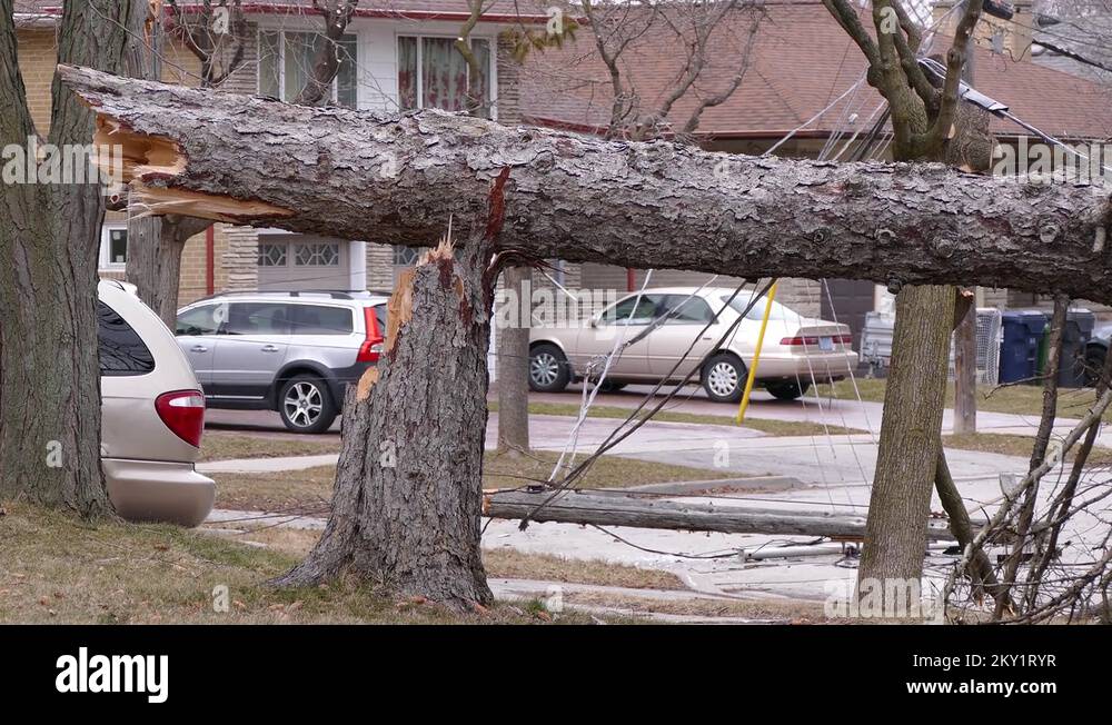 Trees and hydro power lines down as severe wind storm hits city Stock ...