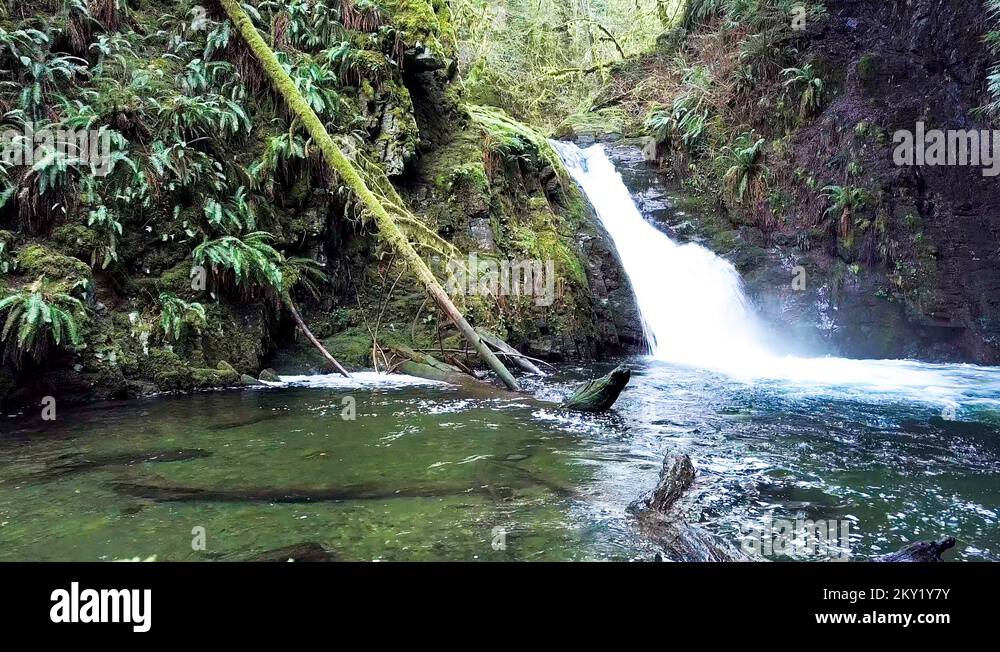 Gold stream provincial park Stock Videos & Footage - HD and 4K Video ...