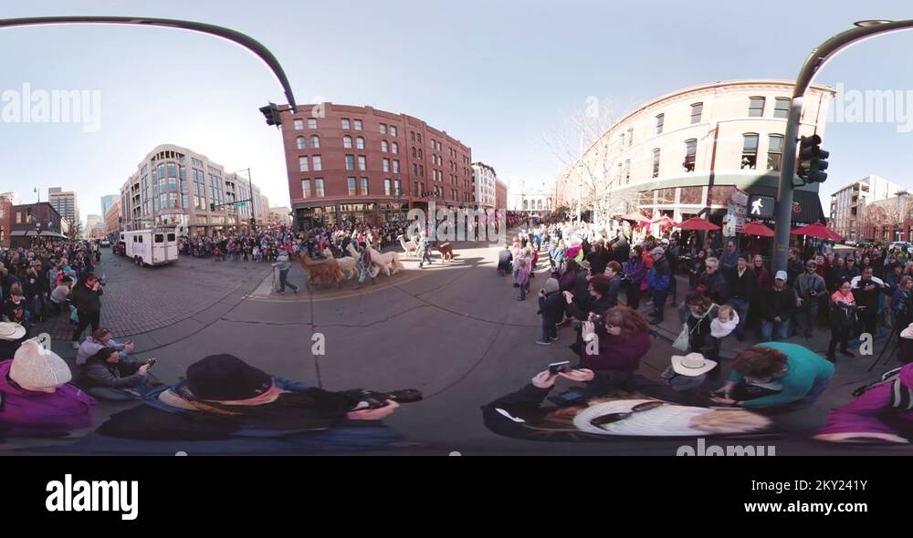 The National Western Stock Show Kick-Off Parade with marching bands ...