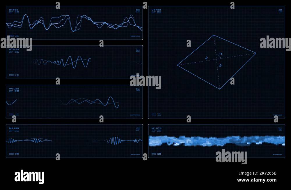 Monochromatic multi-panel visual display: formulae, line graphs ...