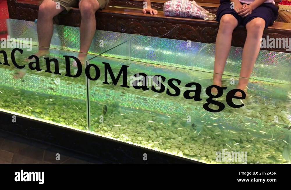 Fish massage service Stock Videos & Footage - HD and 4K Video Clips - Alamy
