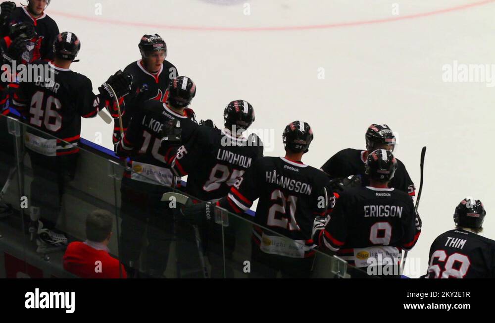 Celebrating high five sport Stock Videos & Footage - HD and 4K Video ...