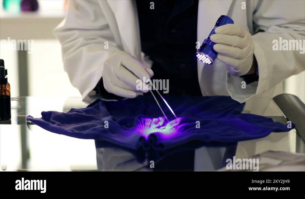 Csi inspection Stock Videos & Footage - HD and 4K Video Clips - Alamy