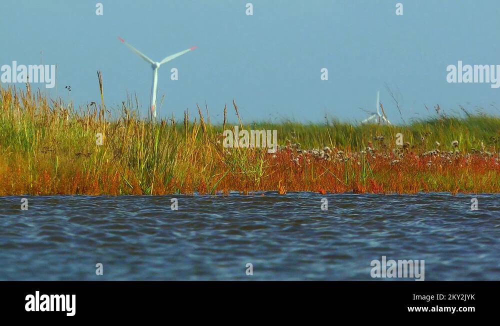 Wind engines behind swamp, Borkum, North Sea, Germany Stock Video ...