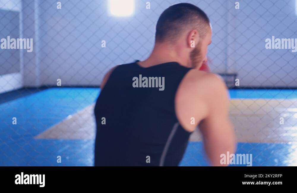 Strong fighter Stock Videos & Footage - HD and 4K Video Clips - Alamy