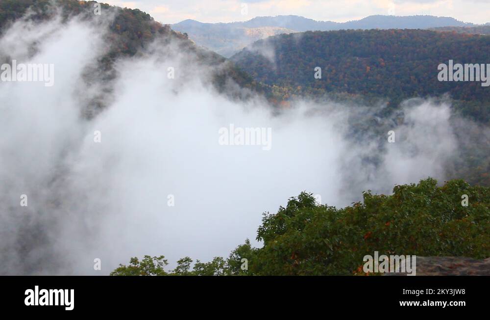 Fog Stock Videos & Footage - HD and 4K Video Clips - Alamy
