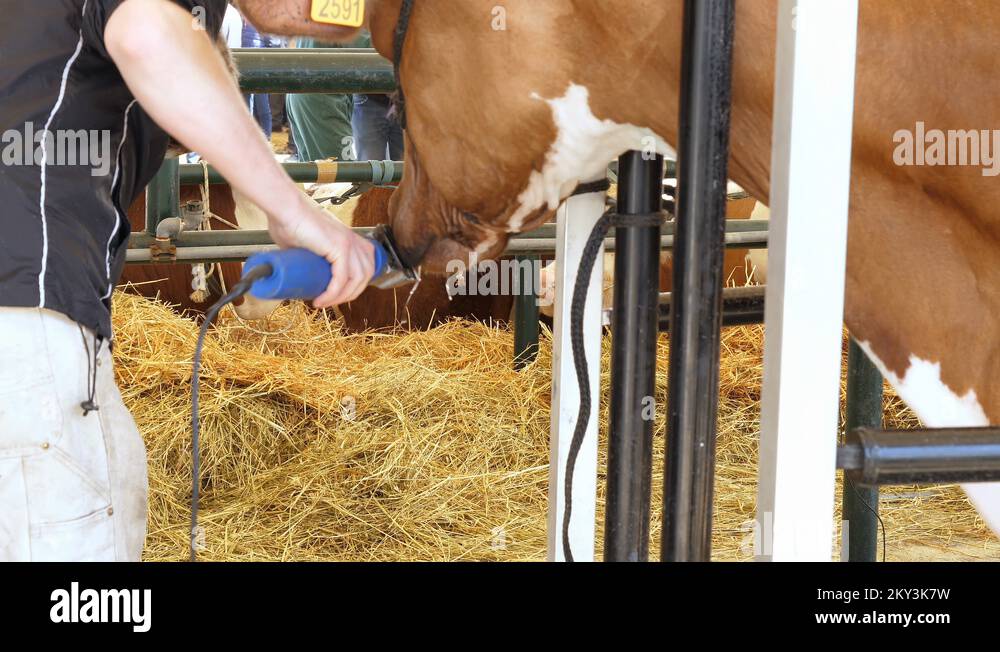 Farm skill Stock Videos & Footage - HD and 4K Video Clips - Alamy