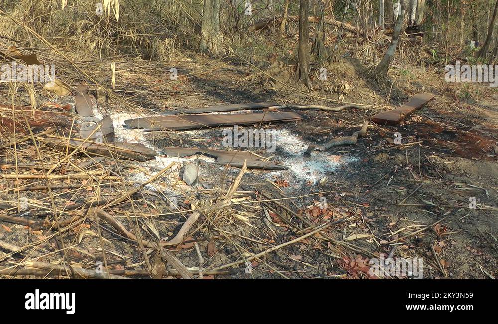 Riparian wildlife Stock Videos & Footage - HD and 4K Video Clips - Alamy