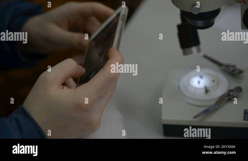 How to hold a microscope Stock Videos & Footage - HD and 4K Video Clips ...