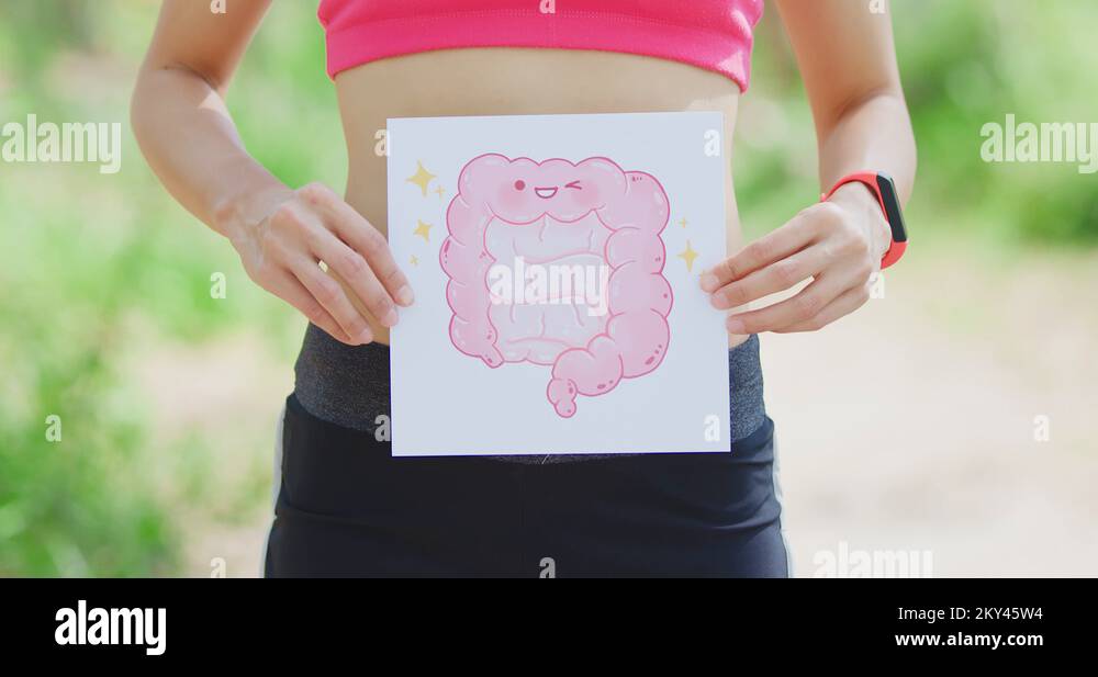 Woman anatomy intestine Stock Videos & Footage - HD and 4K Video Clips ...