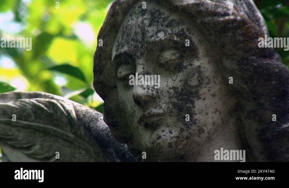 Weather beaten face Stock Videos & Footage - HD and 4K Video Clips - Alamy