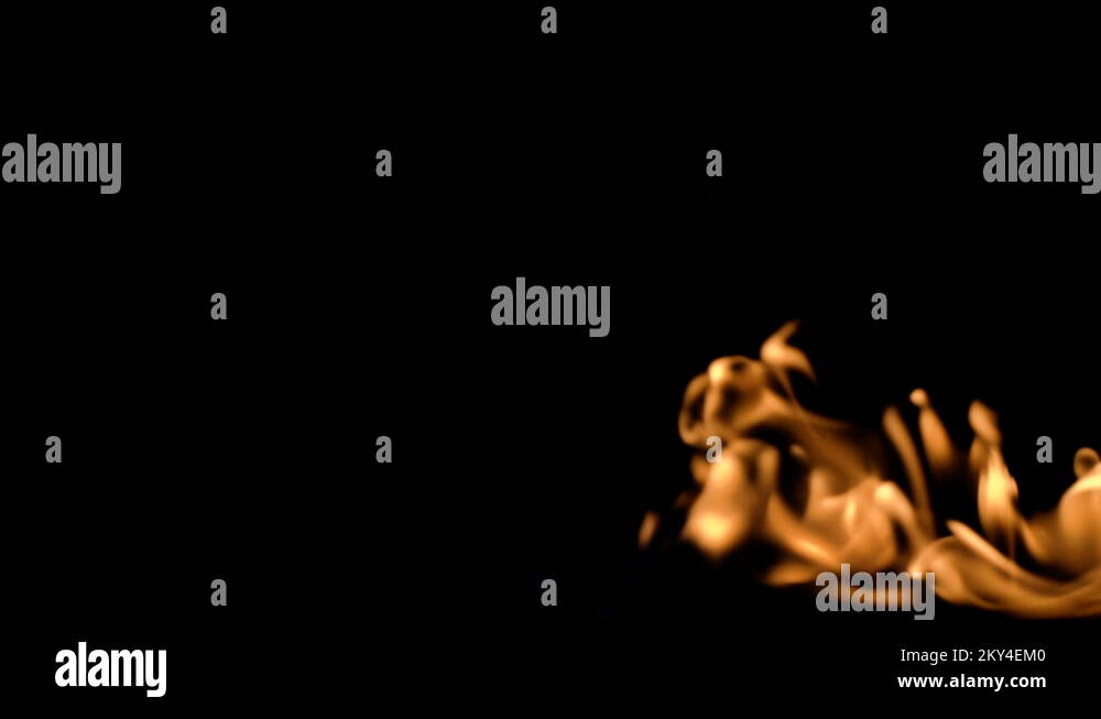 Slow movement of clean fire, igniting and burning. On a black ...