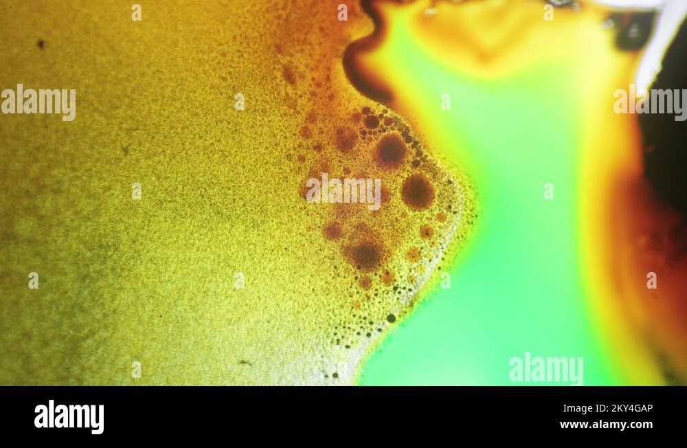 Cells, chemical reaction under microscope Stock Video Footage - Alamy