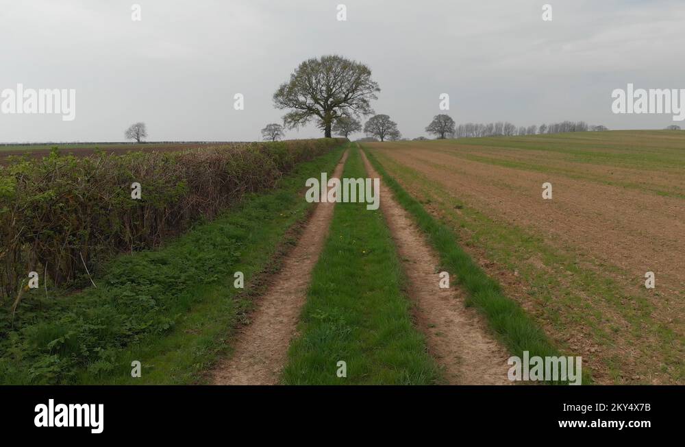 Hedgerow and track Stock Videos & Footage - HD and 4K Video Clips - Alamy
