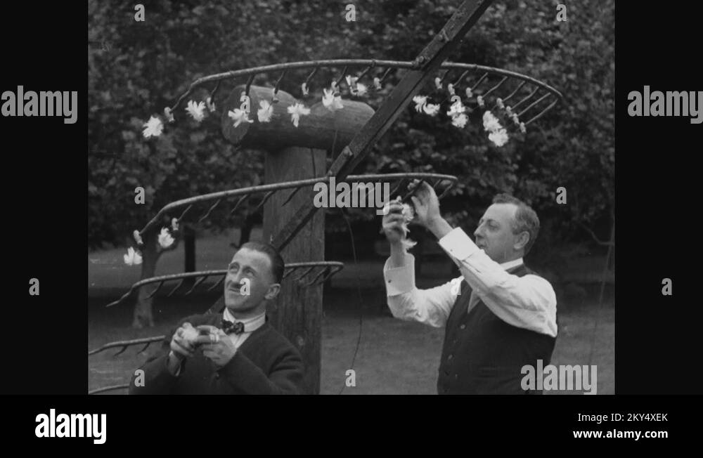 Three archery targets Stock Videos & Footage - HD and 4K Video Clips ...