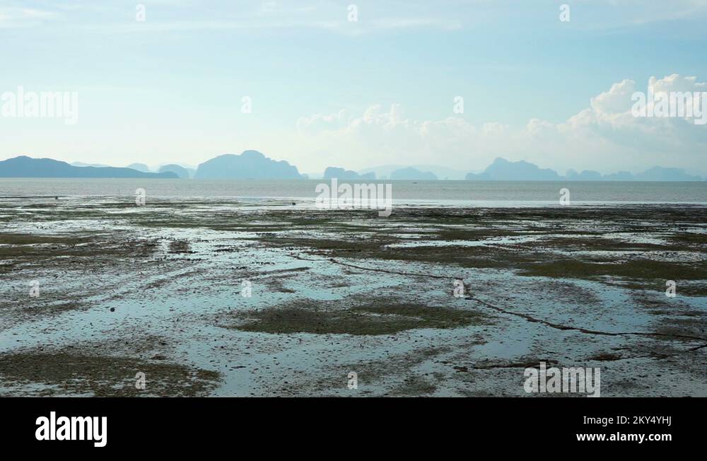 Tidal mud flat Stock Videos & Footage - HD and 4K Video Clips - Alamy