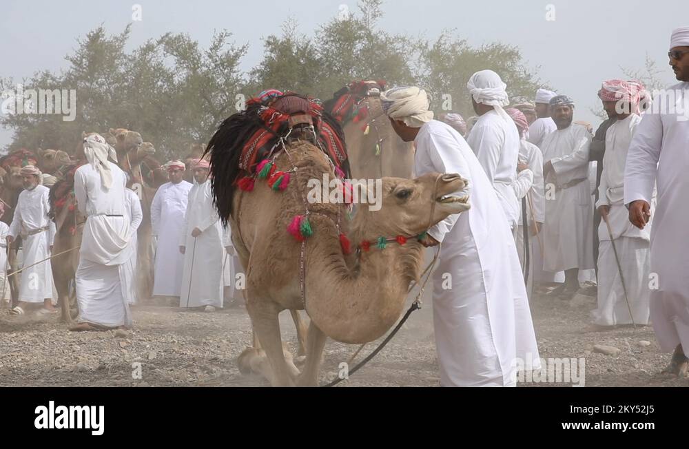 Omani tradition Stock Videos & Footage - HD and 4K Video Clips - Alamy