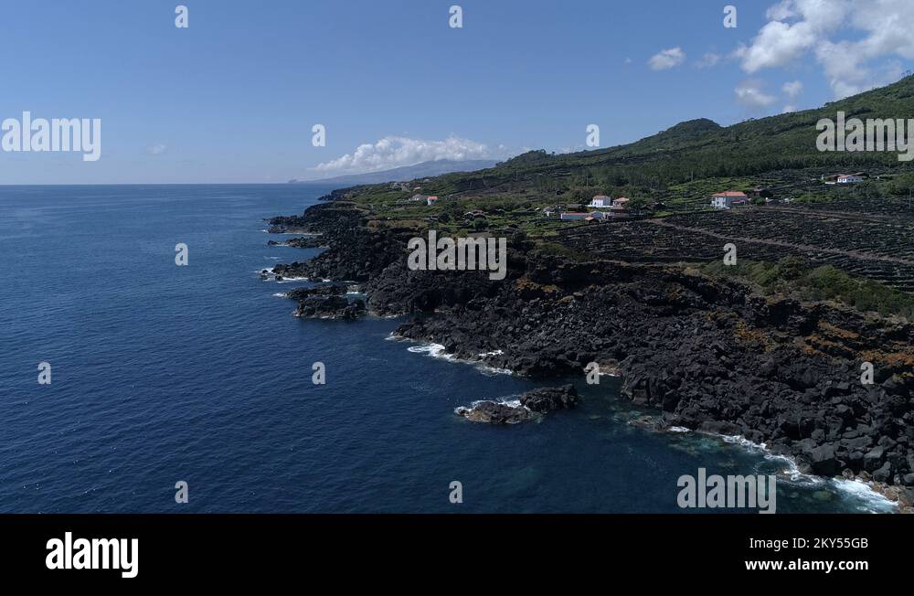 Pico Island south coast with black lava rocks and vineyards Stock Video ...