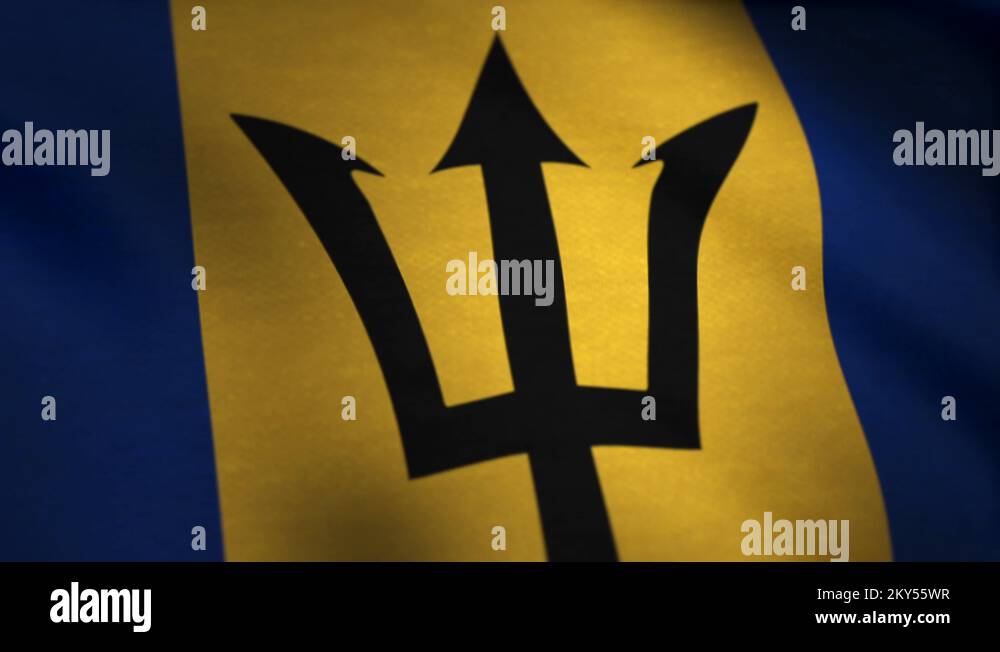 Barbarian flag Stock Videos & Footage - HD and 4K Video Clips - Alamy