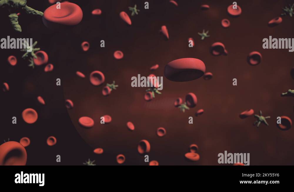 Blood cells inside human Stock Videos & Footage - HD and 4K Video Clips ...