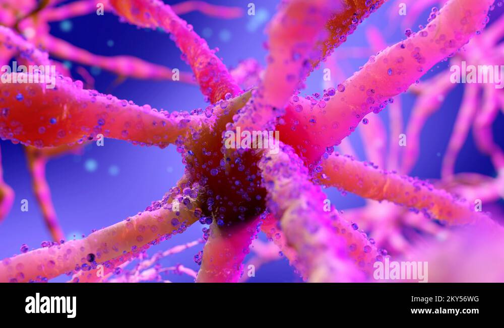 Neuronal cell Stock Videos & Footage - HD and 4K Video Clips - Alamy