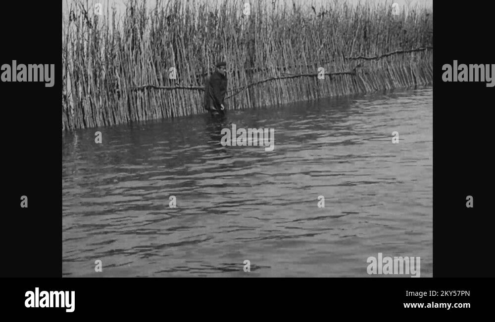 Reed fish trap Stock Videos & Footage - HD and 4K Video Clips - Alamy