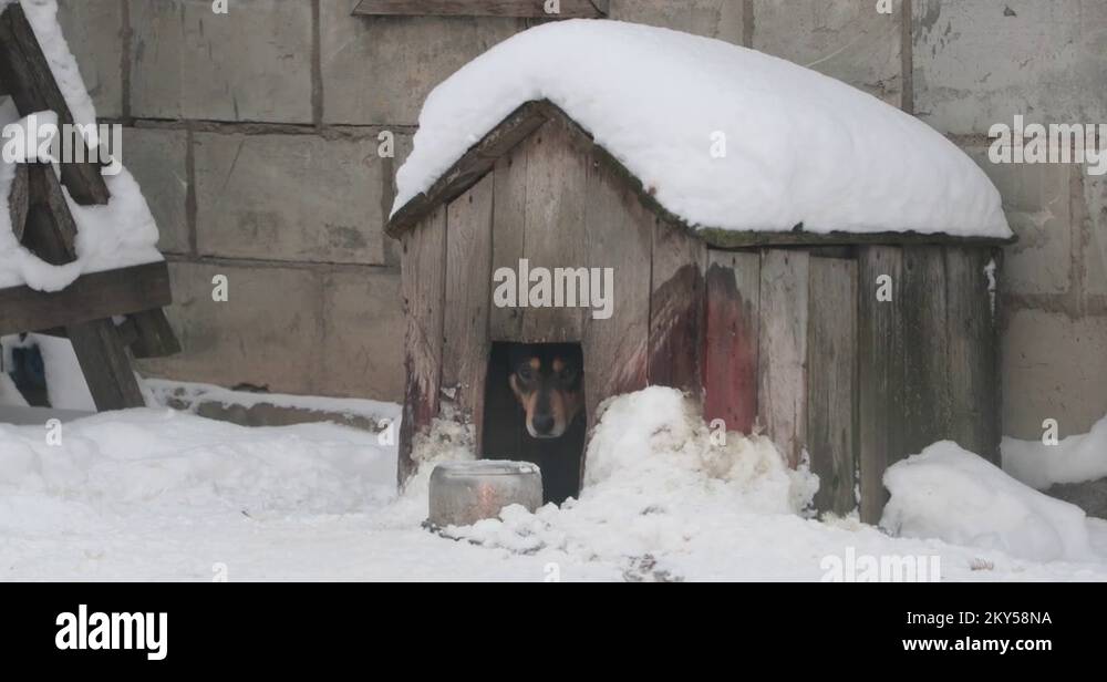 Winter booth Stock Videos & Footage - HD and 4K Video Clips - Alamy