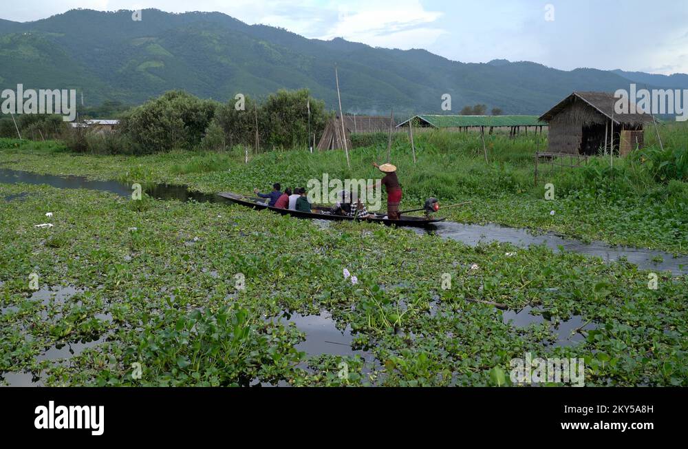 Floating vegetable farming Stock Videos & Footage - HD and 4K Video ...