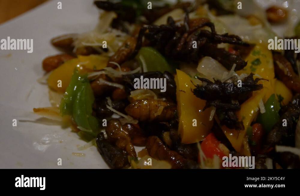 Eating bugs in restaurant Stock Videos & Footage - HD and 4K Video ...