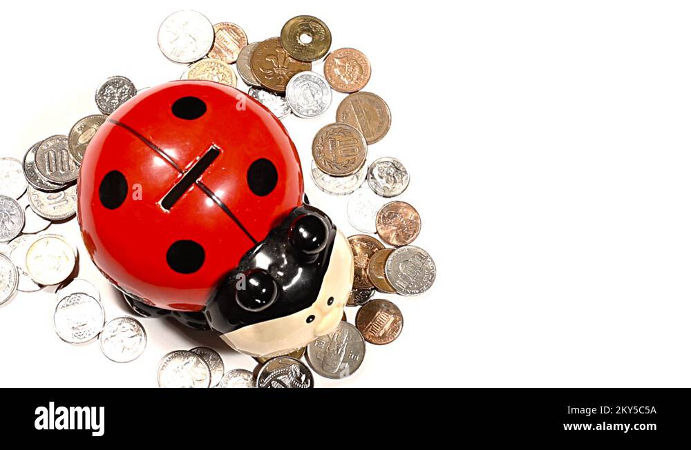 Ladybug Money Box with Coins PANs 01 high angle Stock Video Footage - Alamy