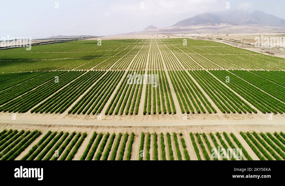 Dry fields farming peru Stock Videos & Footage - HD and 4K Video Clips ...