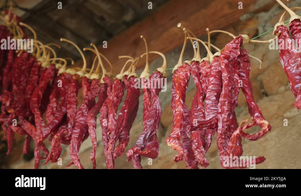 Traditional chilli drying Stock Videos & Footage - HD and 4K Video ...