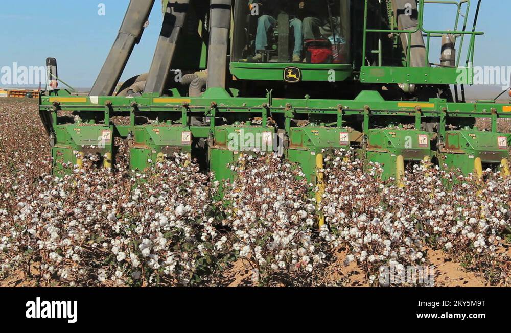 Cotton harvester machine Stock Videos & Footage - HD and 4K Video Clips ...