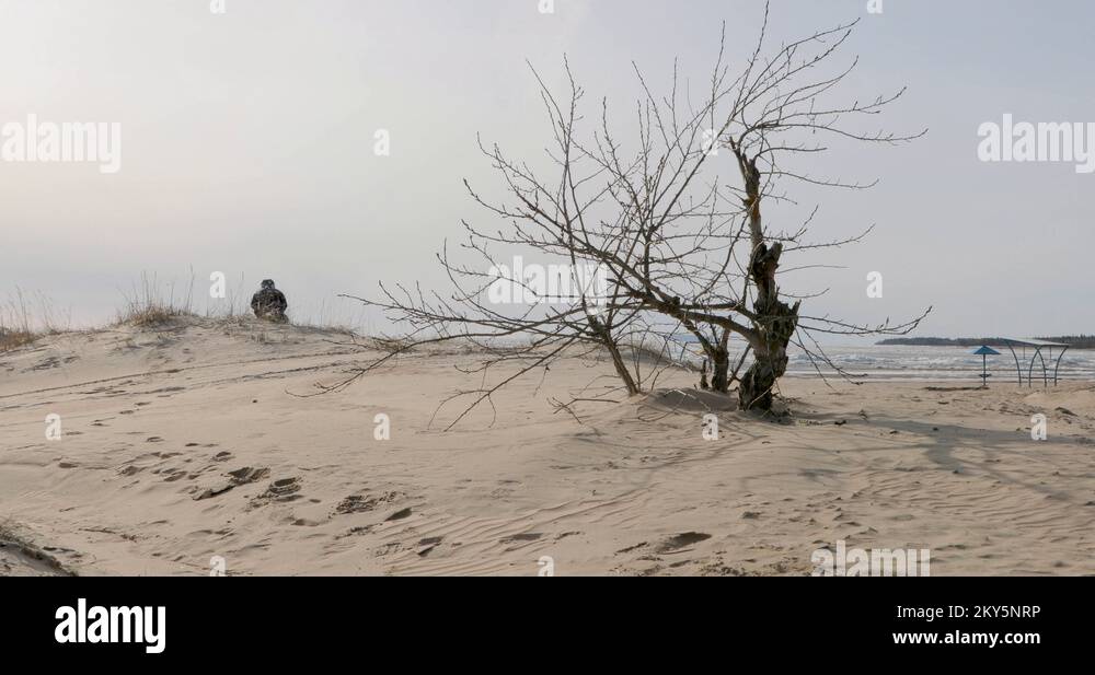 Light sandy soil Stock Videos & Footage - HD and 4K Video Clips - Alamy