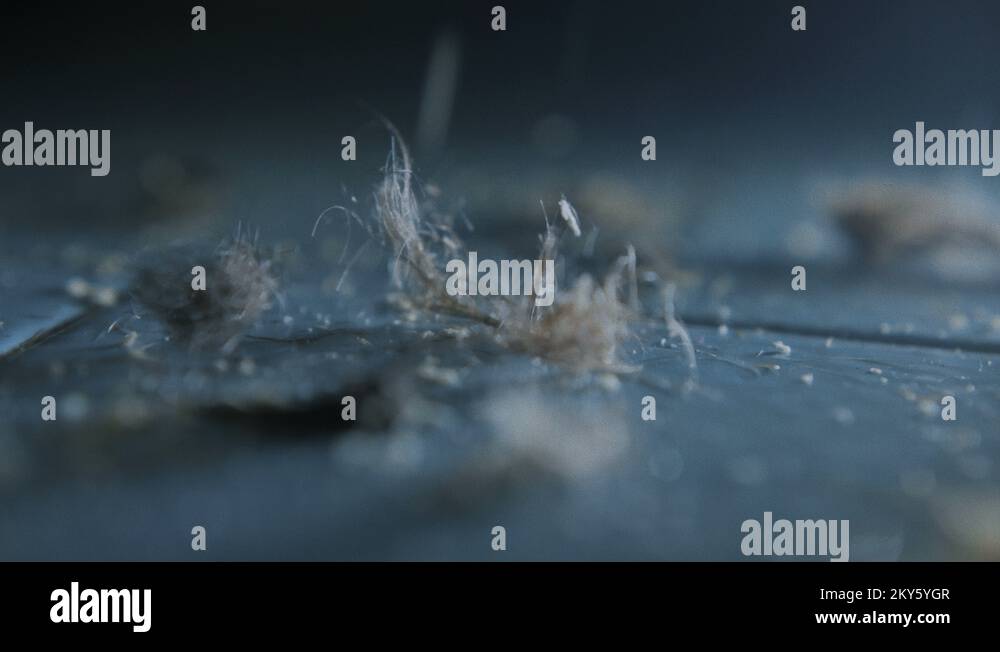 Jail history Stock Videos & Footage - HD and 4K Video Clips - Alamy