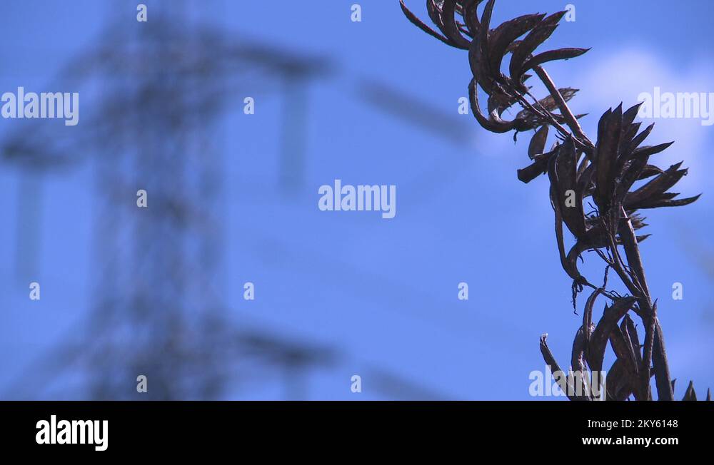 Pylon power plant Stock Videos & Footage - HD and 4K Video Clips - Alamy