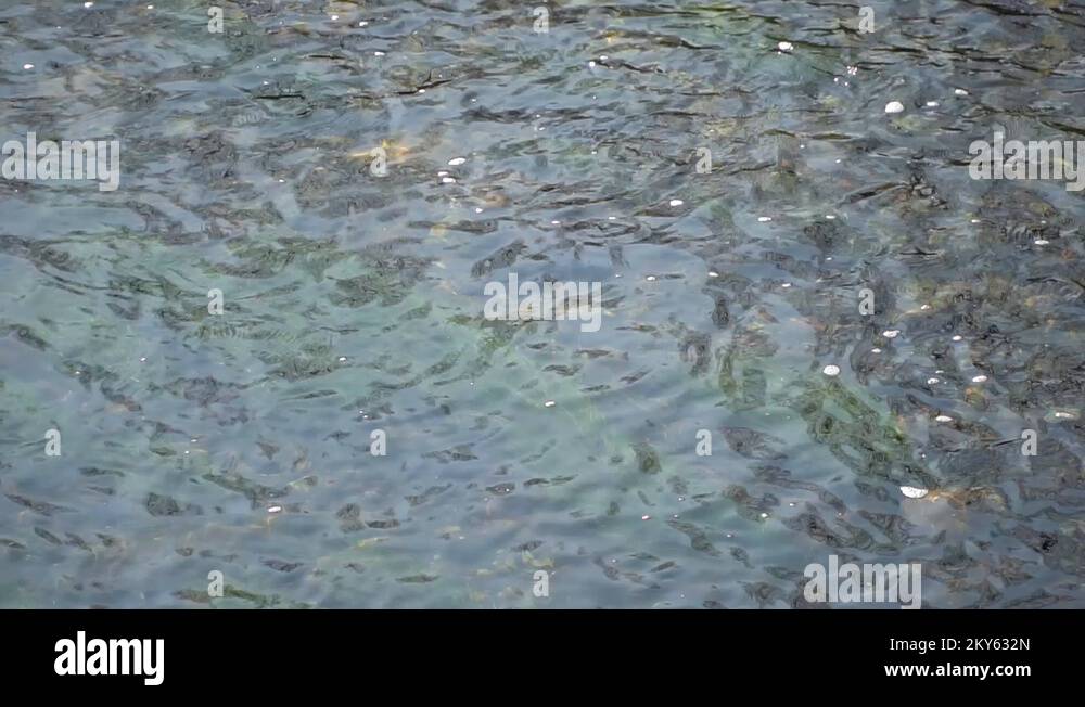 Pure water surface of river with sun beam reflection, tranquility scene ...