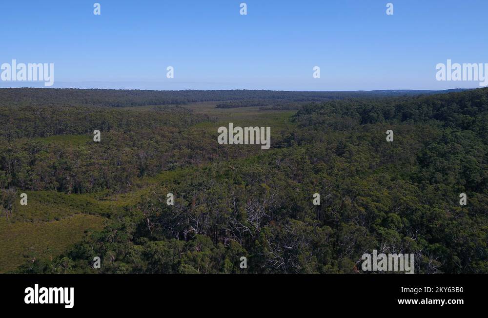 Southeast countryside Stock Videos & Footage - HD and 4K Video Clips ...