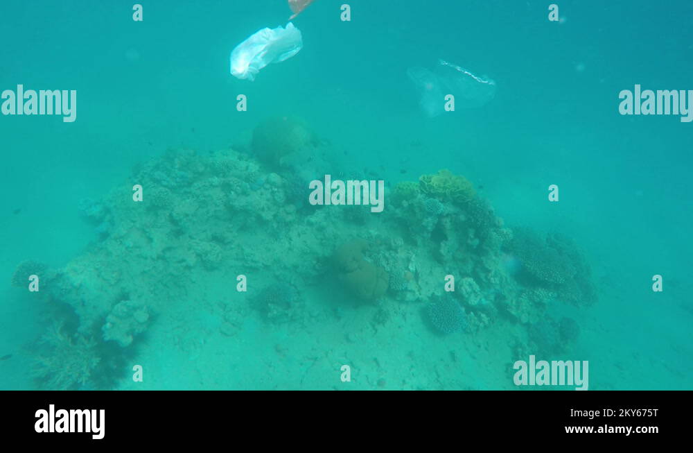 Trash floats over coral reefs in the red sea Stock Video Footage - Alamy