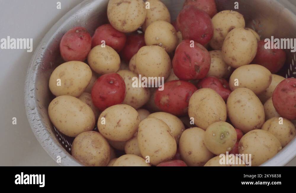 Little red potatoes Stock Videos & Footage - HD and 4K Video Clips - Alamy