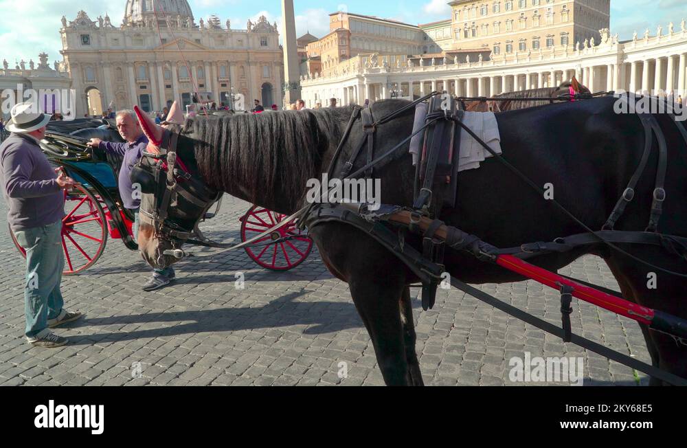 Closer look of the black horse in Vatican Rome Italy Stock Video ...