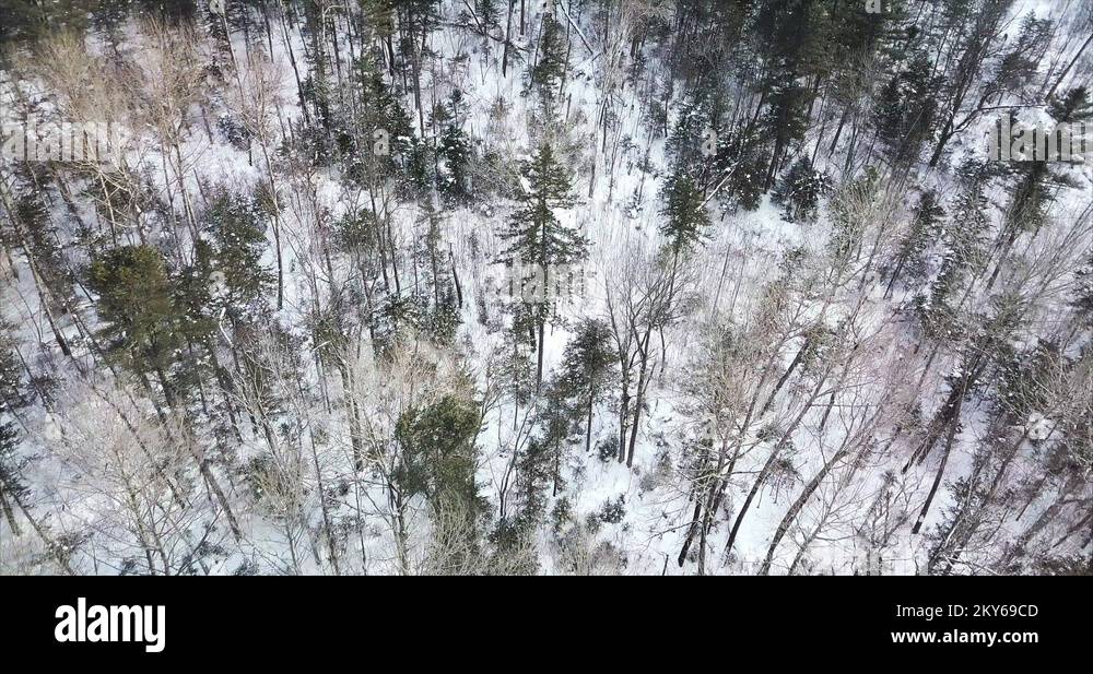 Taiga aerial Stock Videos & Footage - HD and 4K Video Clips - Alamy